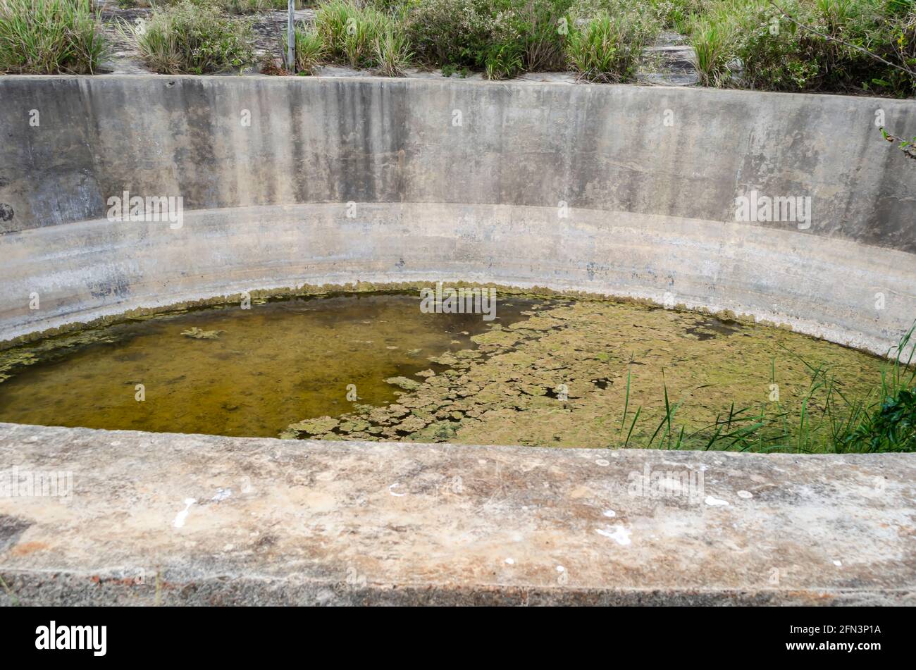 Stagnant water bacteria hi-res stock photography and images - Alamy