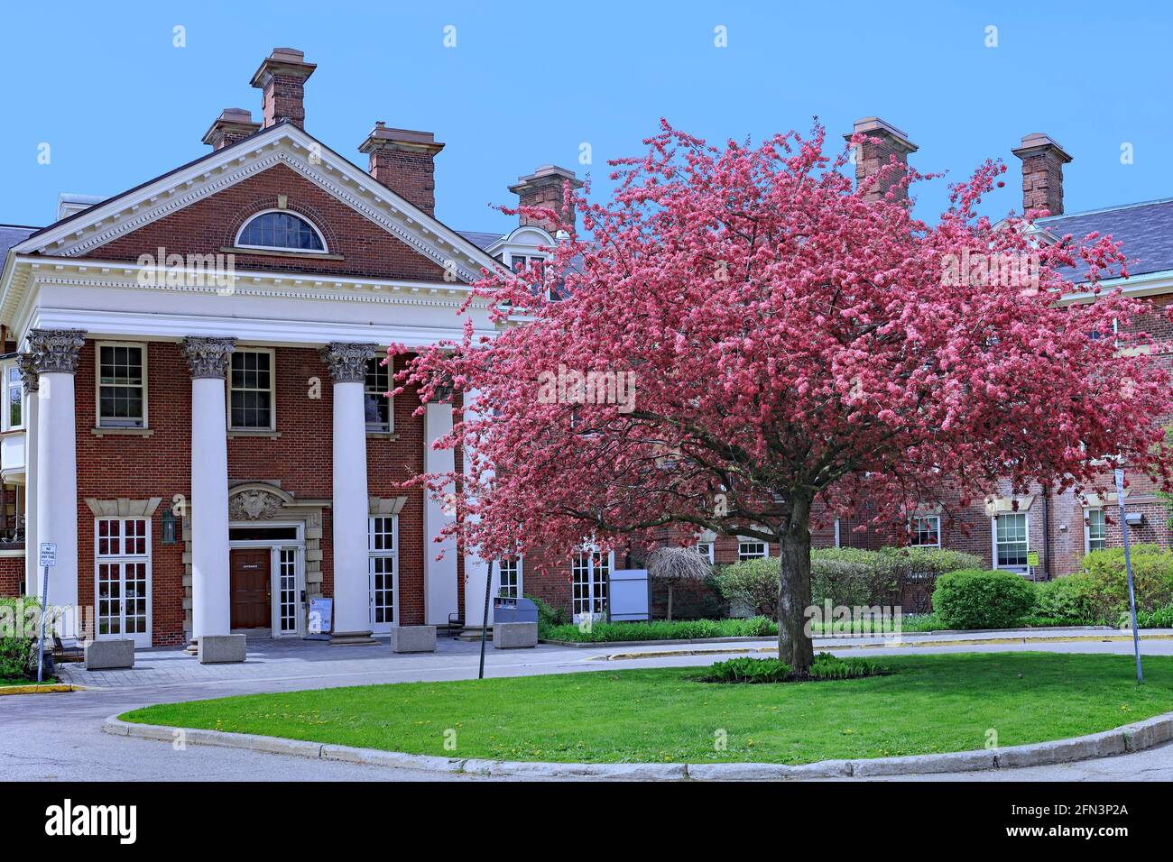 Classical style university building with columns, and flowering tree in ...