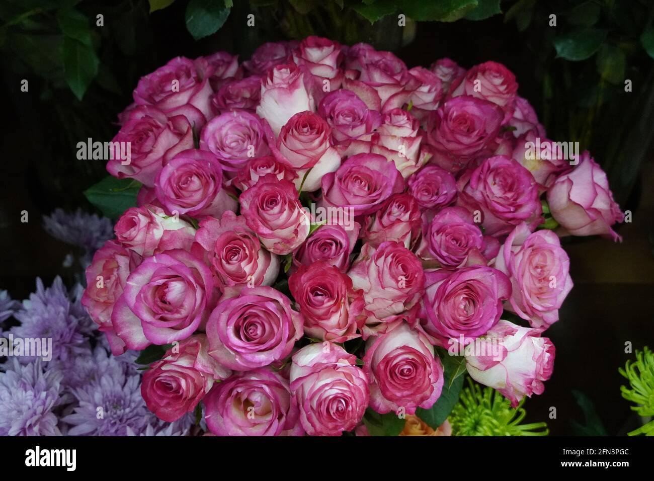 Bunch Of Pink Roses For Love Background. Soft Color Roses Bouquet ...