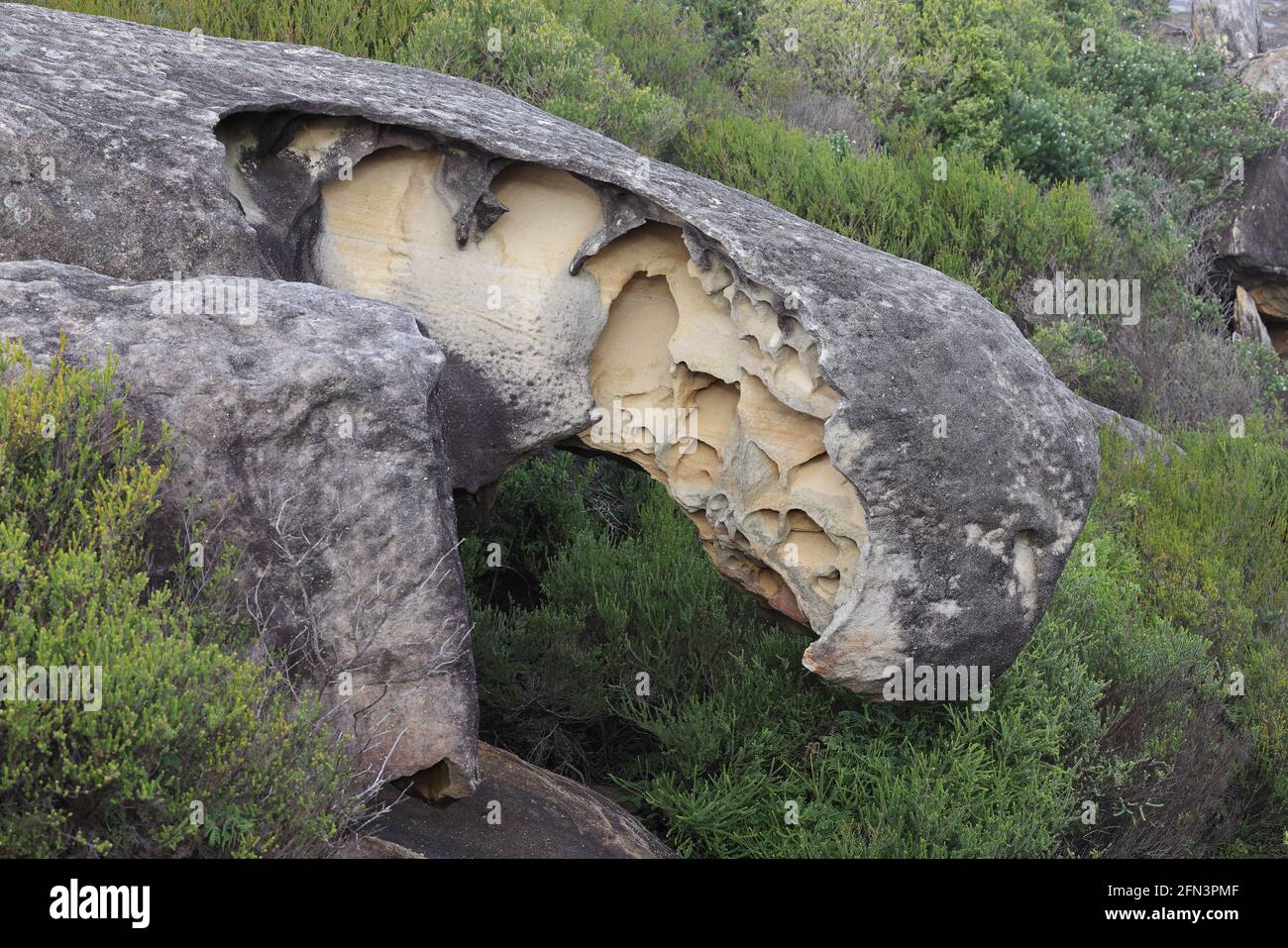 Large sandstone rock showing weathering and erosion Stock Photo - Alamy