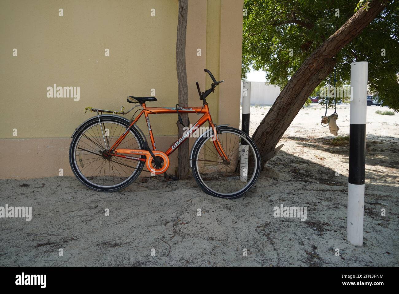 An old orange bicycle is standing on the sand path locked to a tree ...