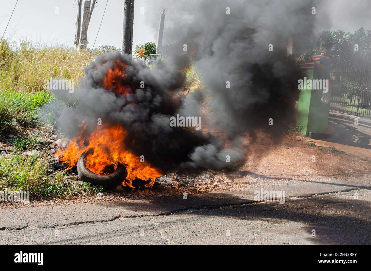 Cremating Dead Dog Stock Photo - Alamy