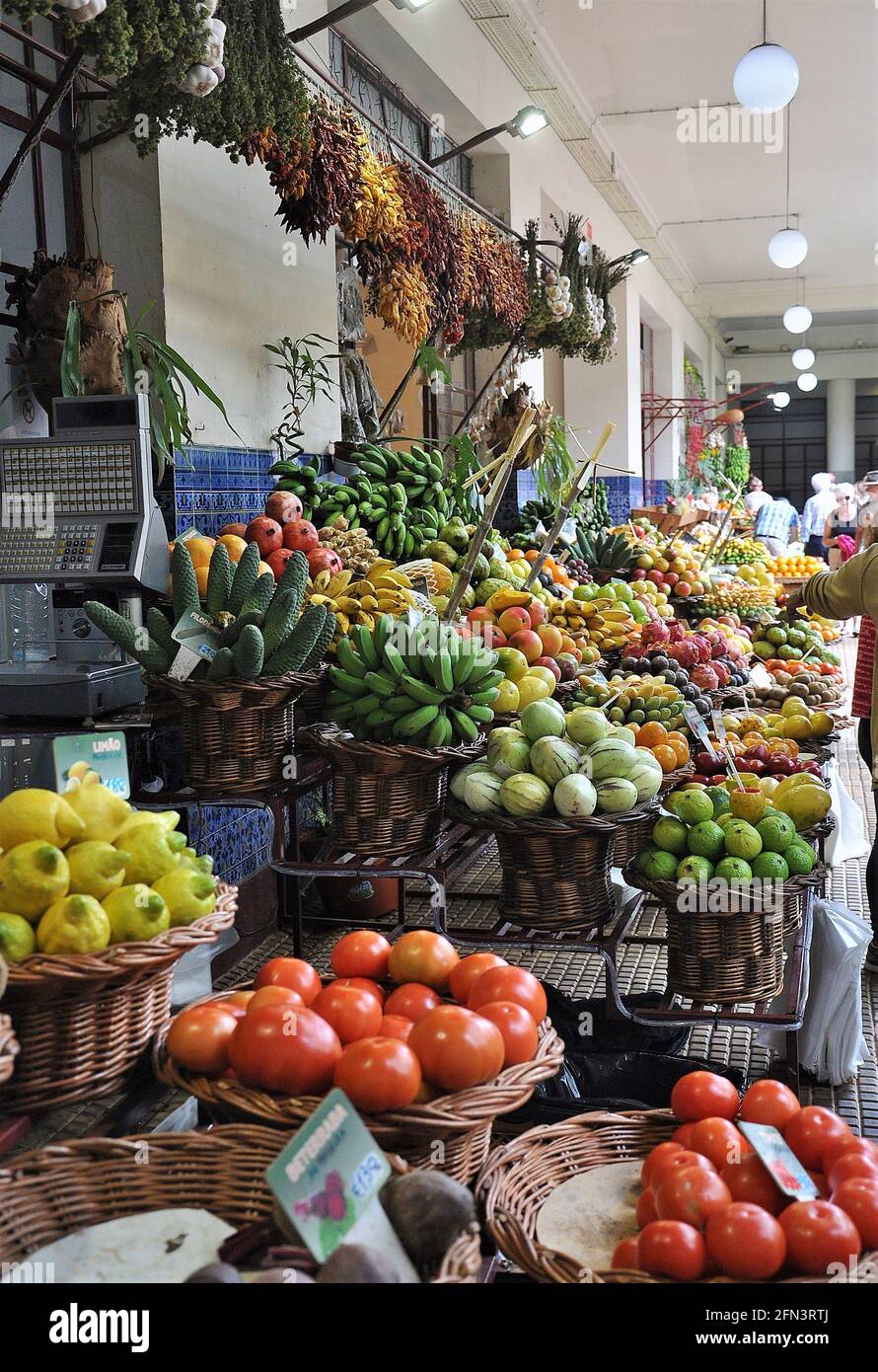 Labradore market hi-res stock photography and images - Alamy