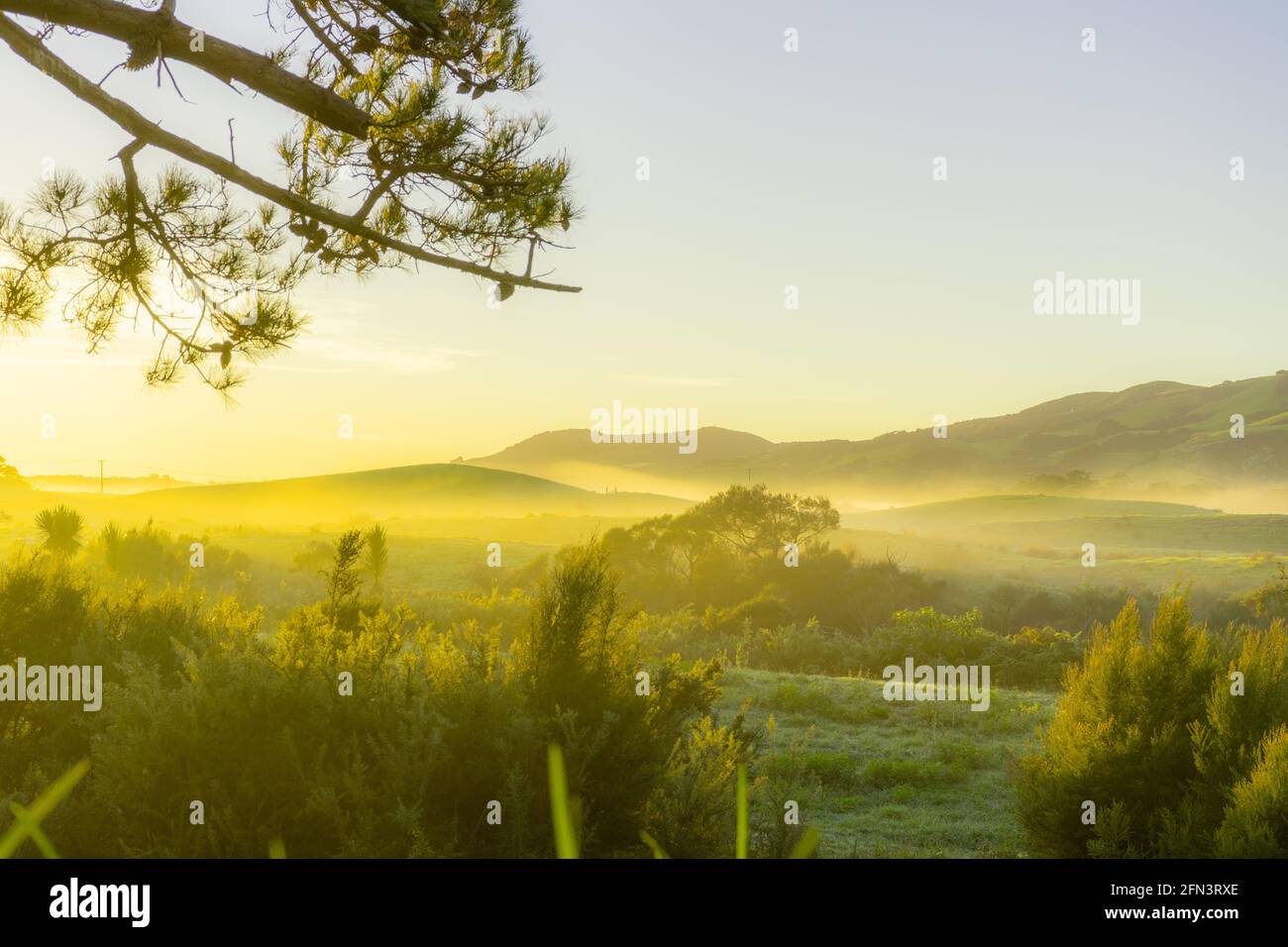 Layers of crisp hi-res stock photography and images - Alamy