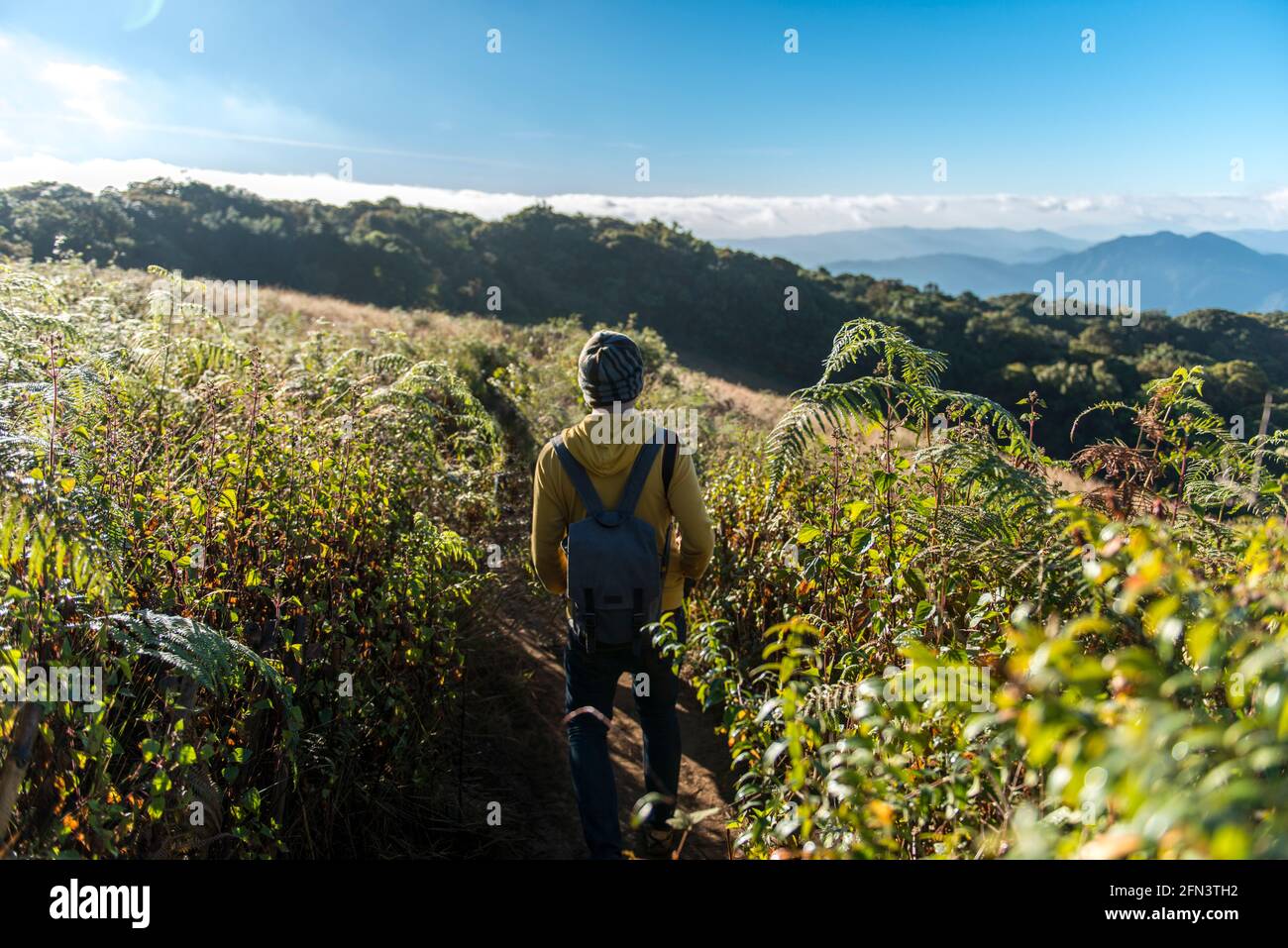 Tourist man walk in Kew Mae Pan Nature Trail in Doi Inthanon National ...