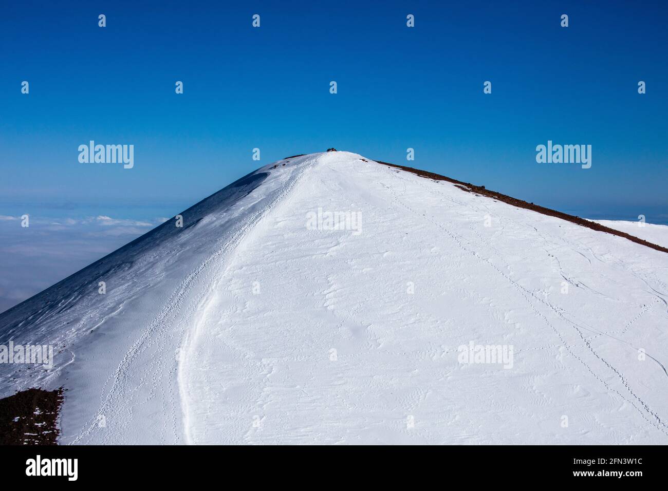 Basic Shield Volcano