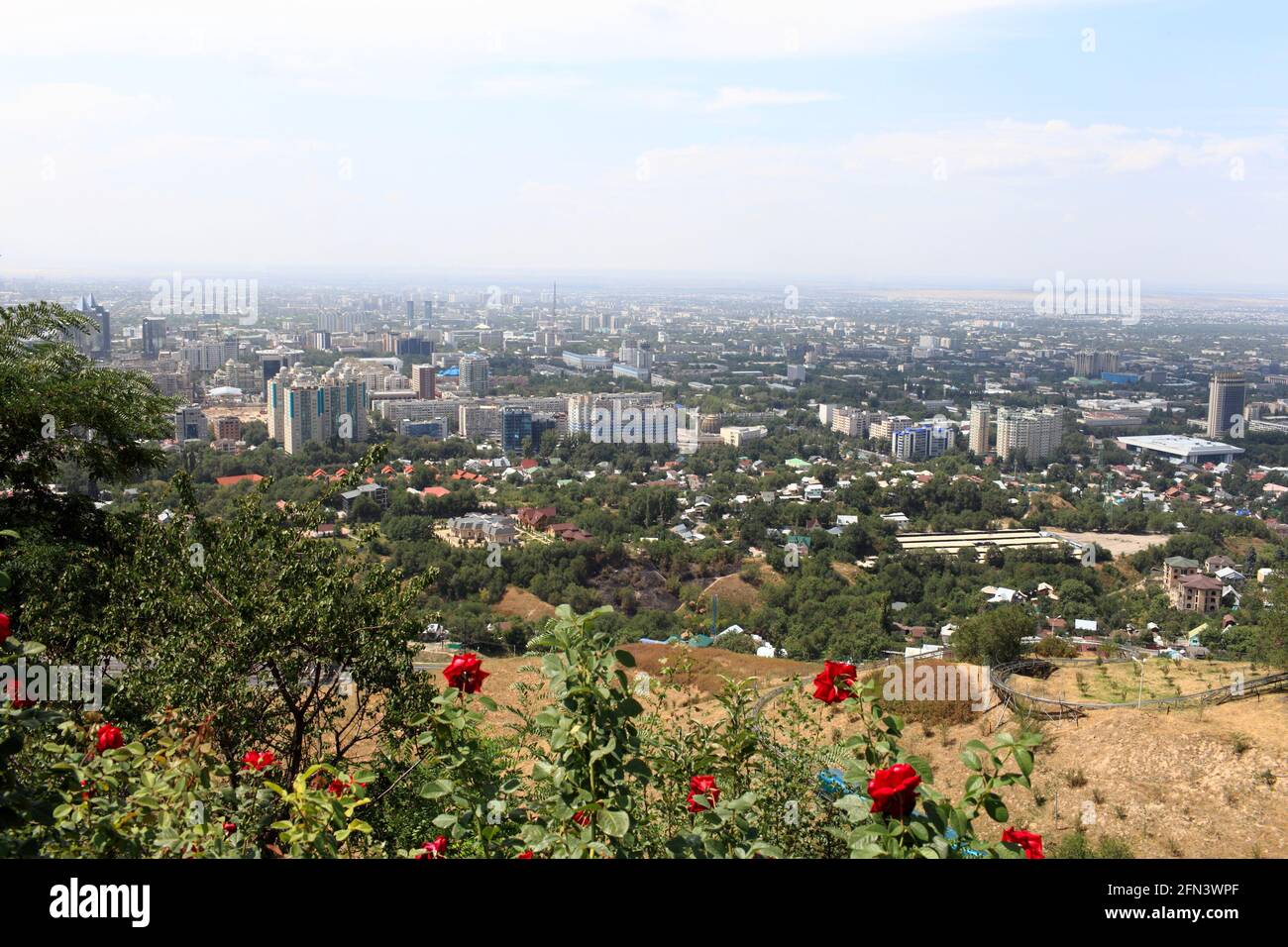 Almaty landscape and red roses, Southern Kazakhstan Stock Photo - Alamy