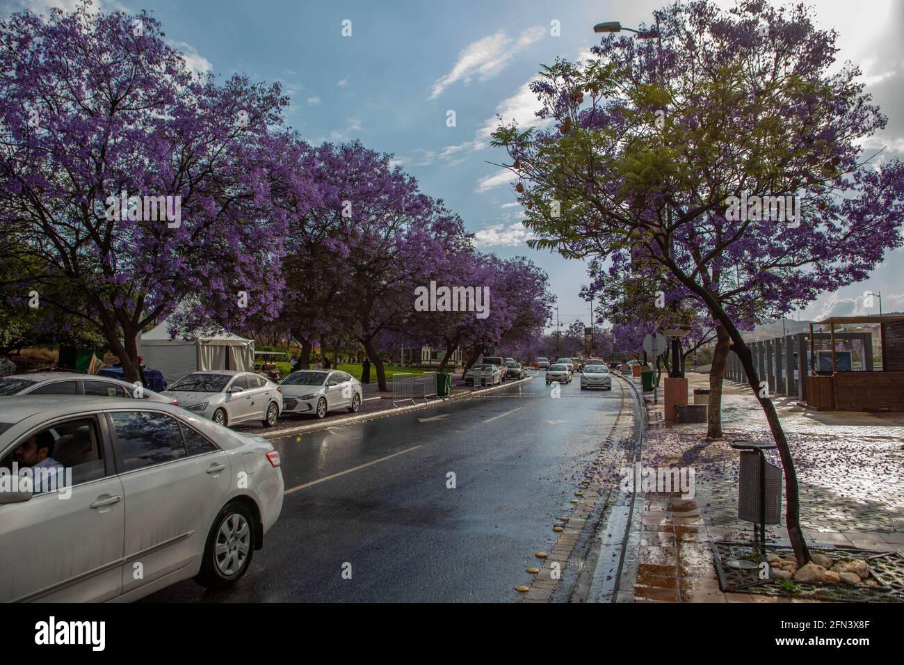 Abha, Saudi Arabia – April 1st 2021: Art Street Stock Photo - Alamy