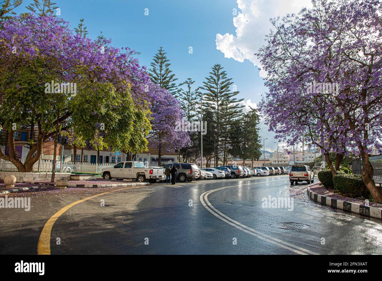 Abha saudi arabia road hi-res stock photography and images - Alamy