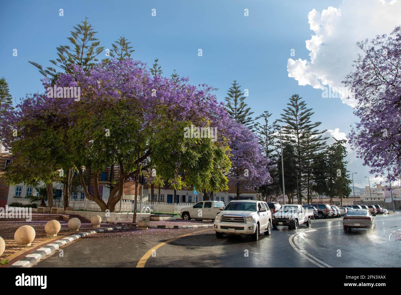 Abha, Saudi Arabia – April 1st 2021: Art Street Stock Photo - Alamy