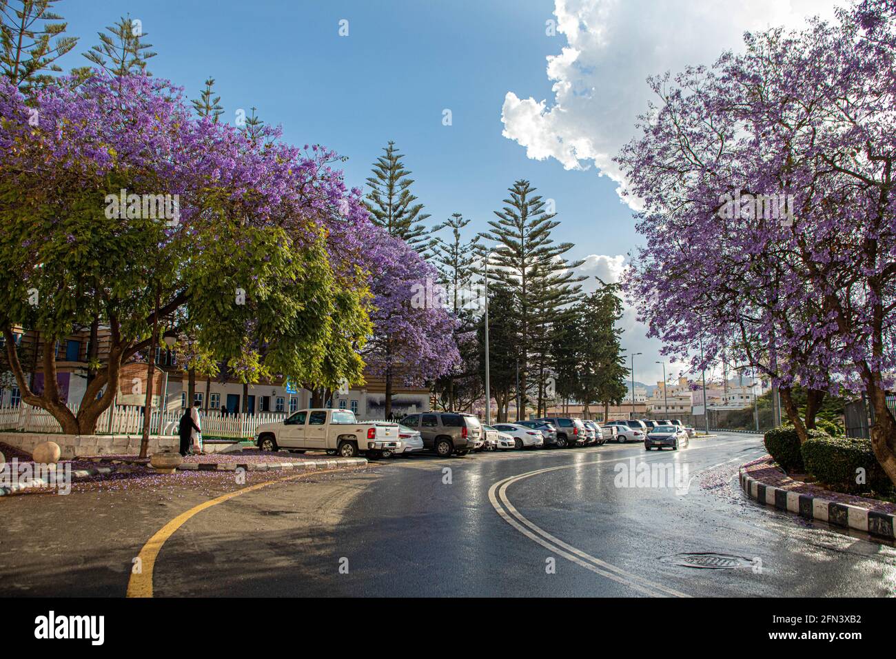 Abha, Saudi Arabia – April 1st 2021: Art Street Stock Photo - Alamy