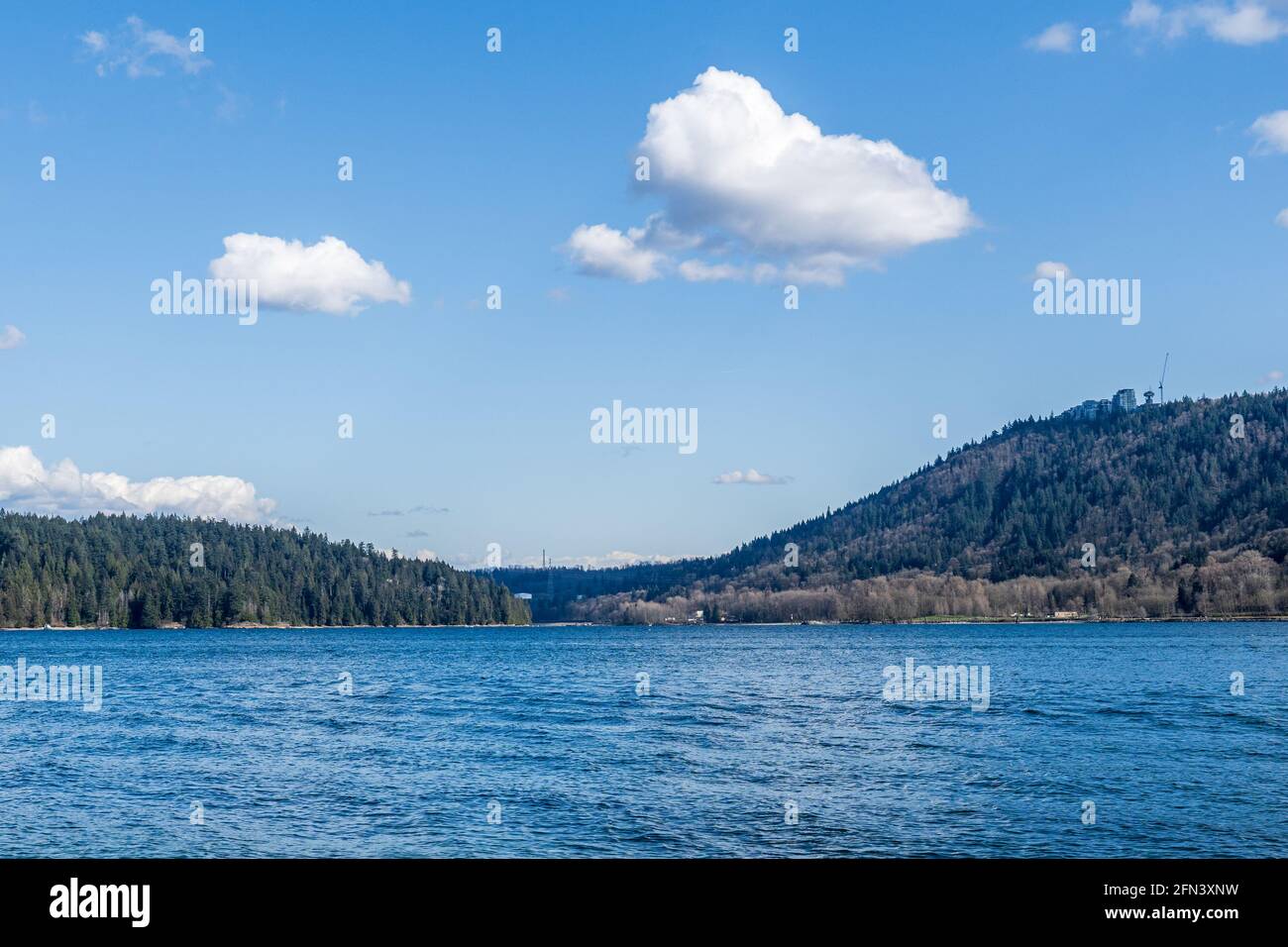 Indian arm hi-res stock photography and images - Alamy
