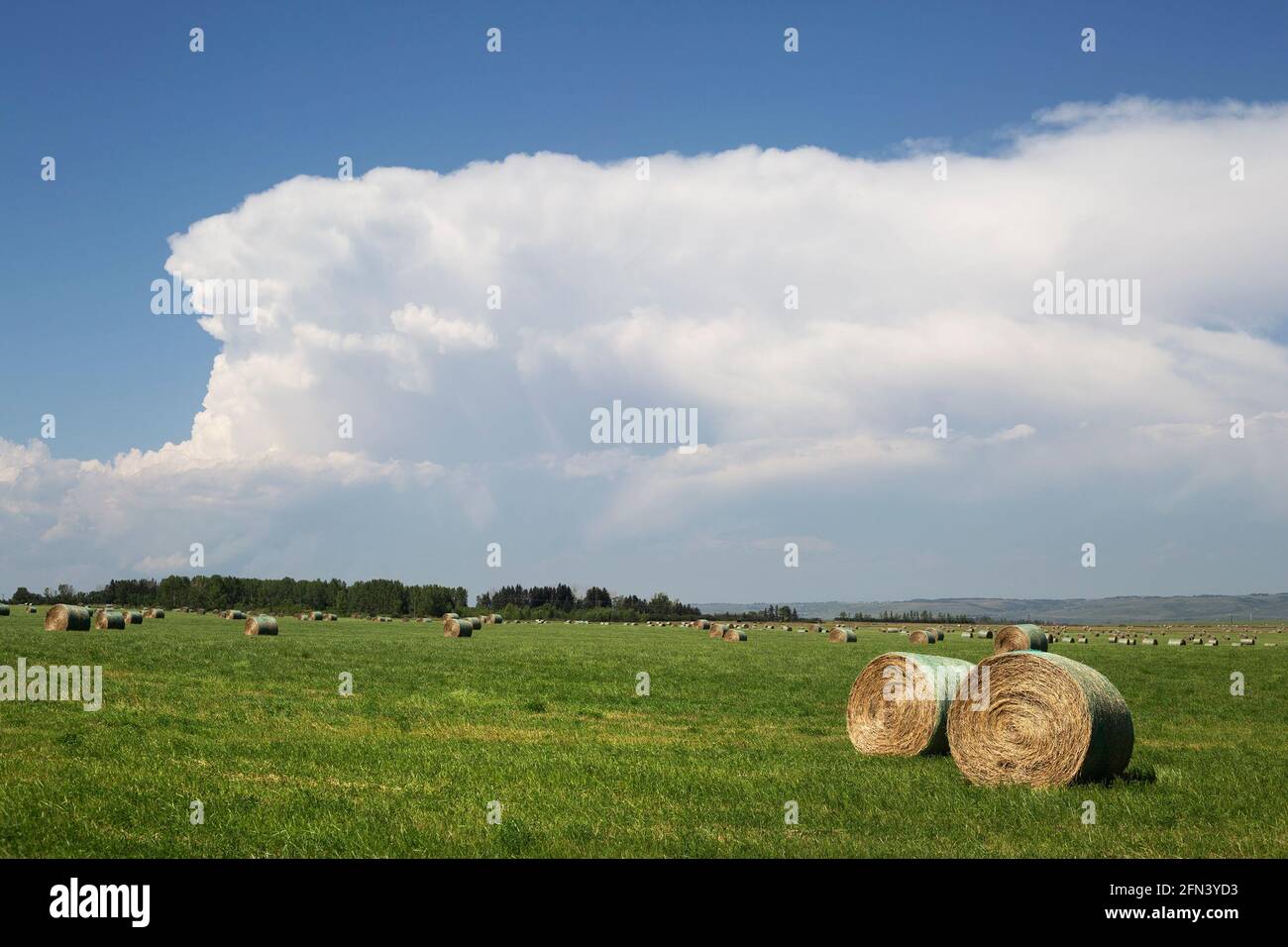 Cumulus clouds over prairie hi-res stock photography and images - Alamy