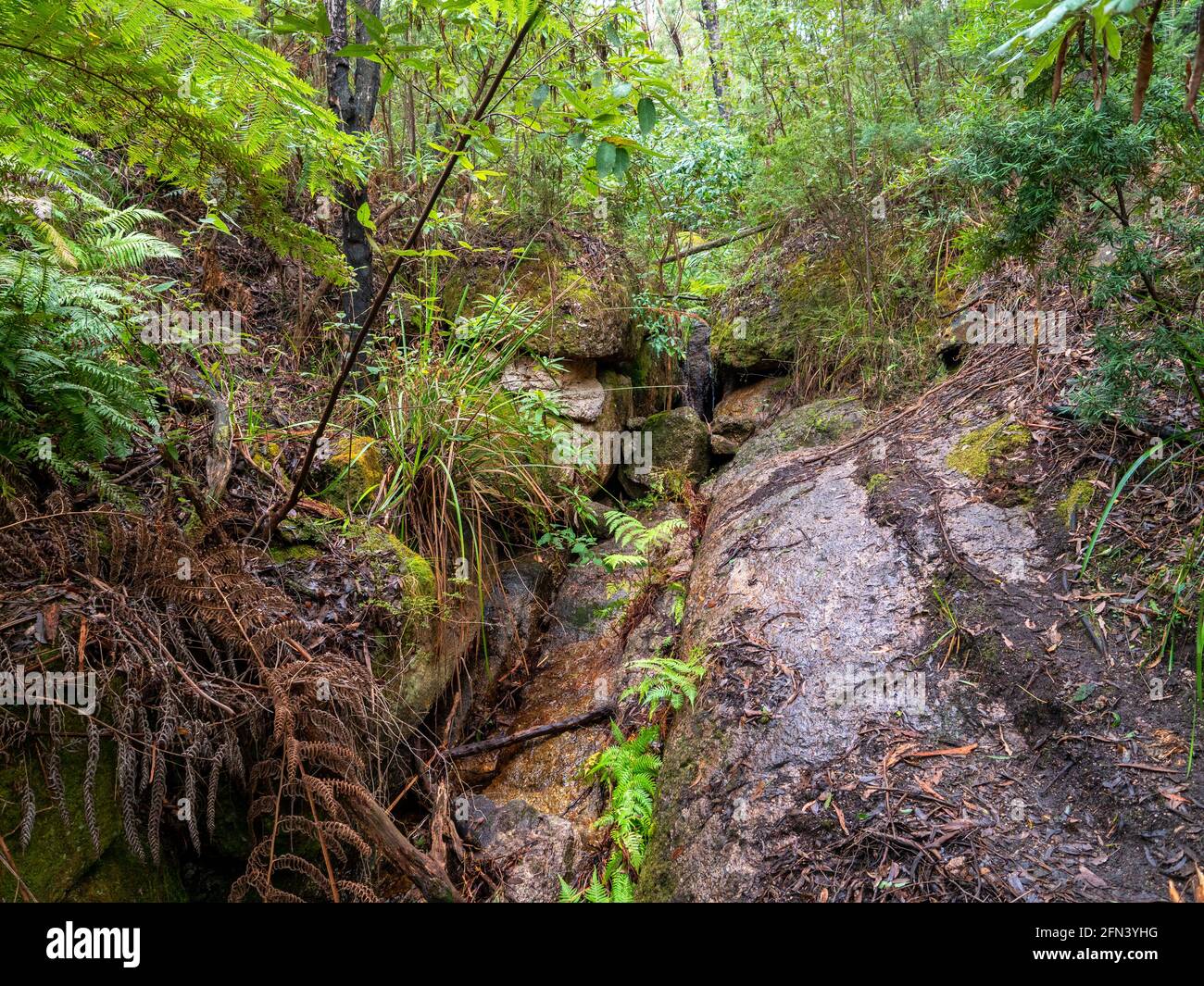 Wilsons Promontory National Park. Small waterfall alongside the ...