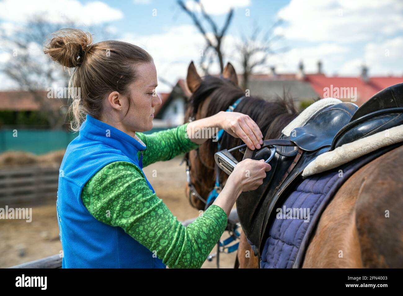 saddled horses on the farm before the ride Stock Photo - Alamy