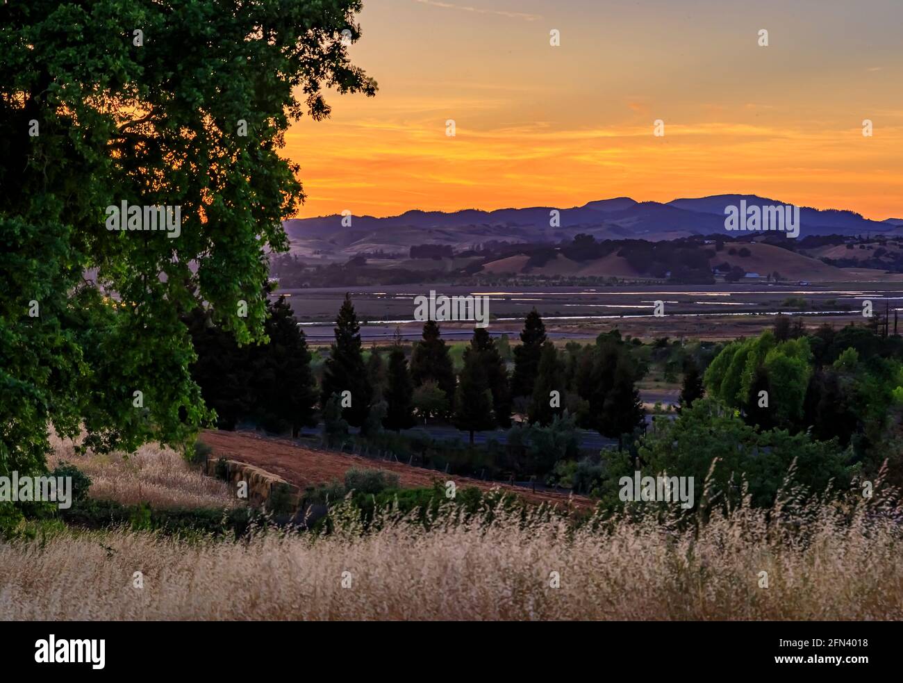 Landscape with hills and valleys at sunset at a vineyard in the spring ...