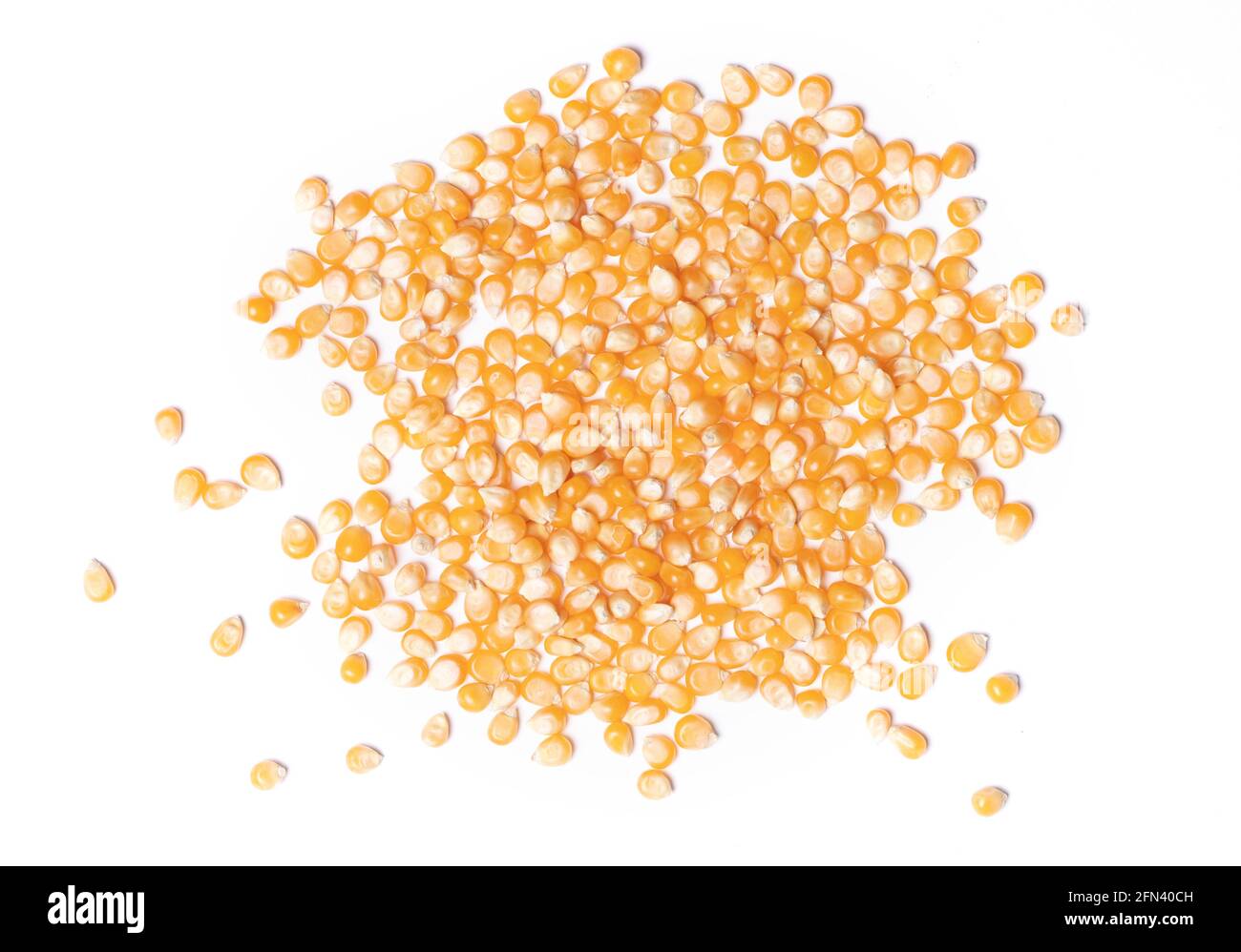 Popcorn corn - Raw grain, isolated on white Stock Photo - Alamy