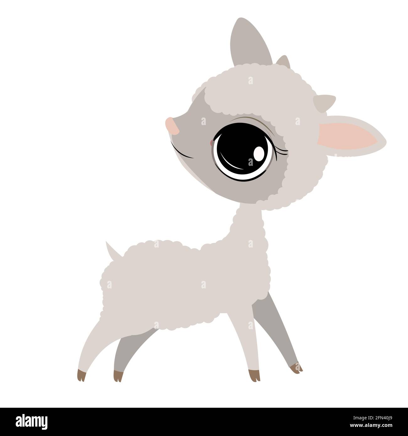 Little baby lamb. Ram. Sheep. Isolated object on a white background ...