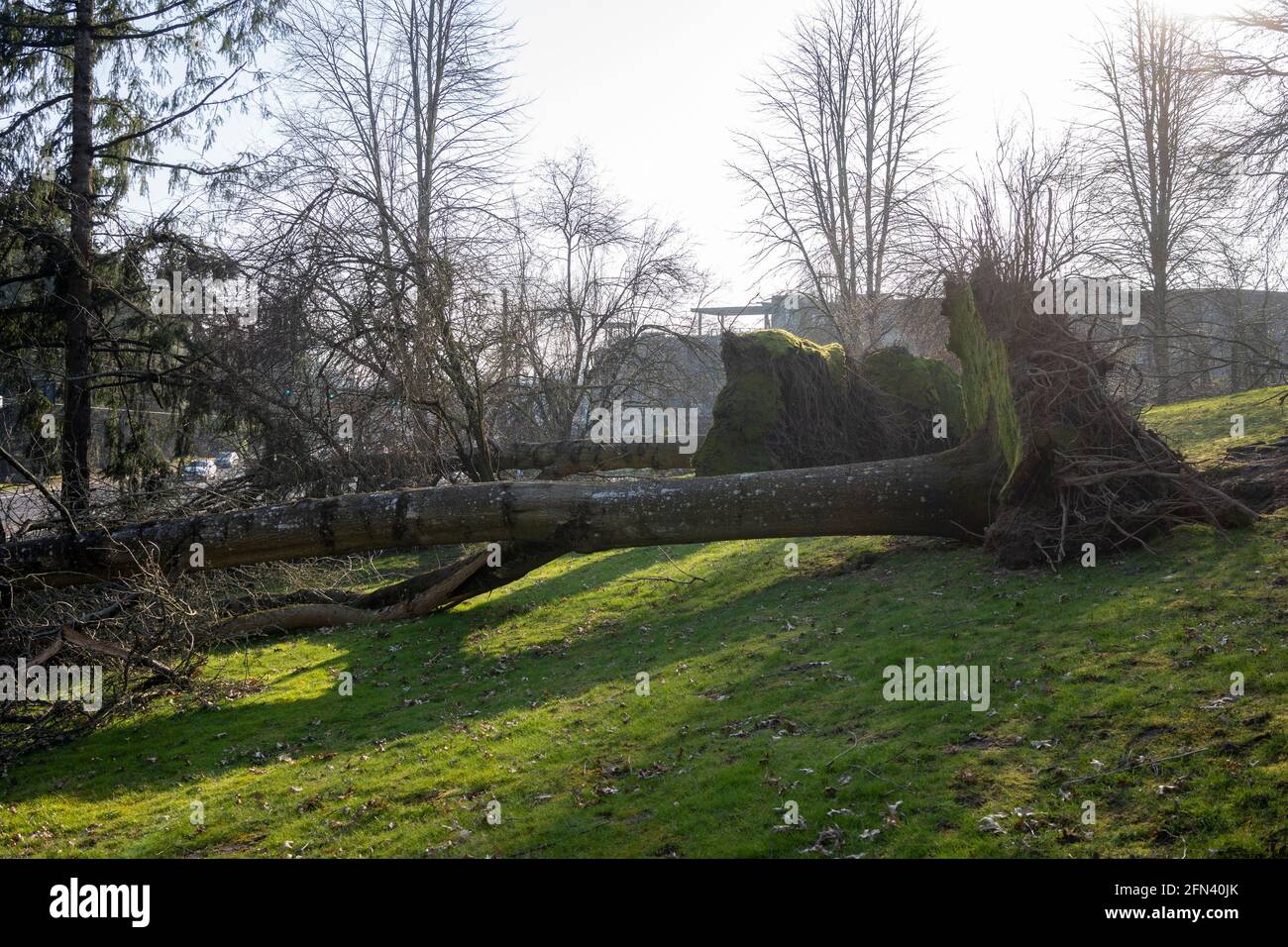 Aftermath of winter storm hi-res stock photography and images - Alamy