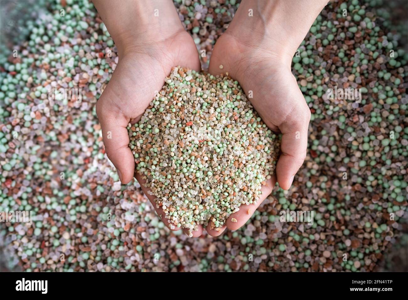 Garden Grass Care Fertilizer Growth Fertilizing Chemical Stock Photo ...