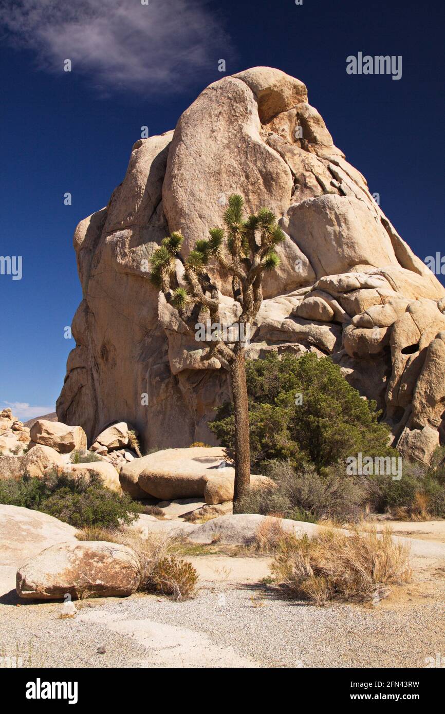 Landscape in Hidden Valley in Joshua Tree National Park in California ...