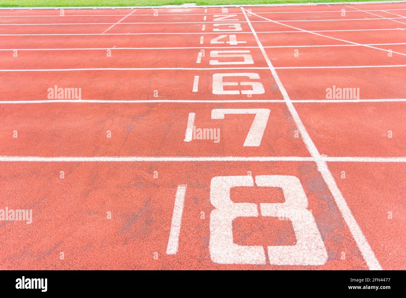Old racetrack iat the park n the morning Stock Photo - Alamy