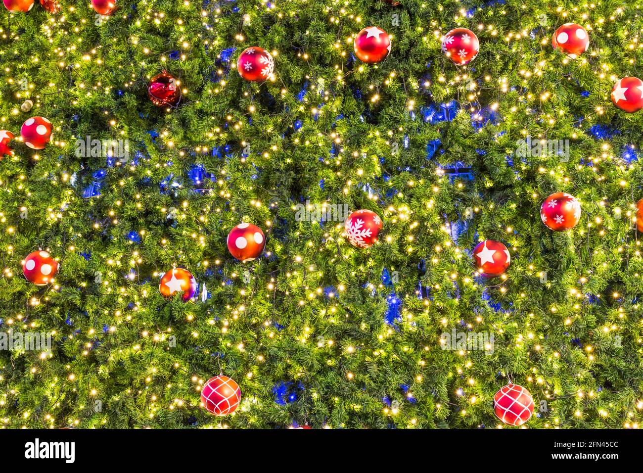 christmas lights hanging in a tree background Stock Photo - Alamy