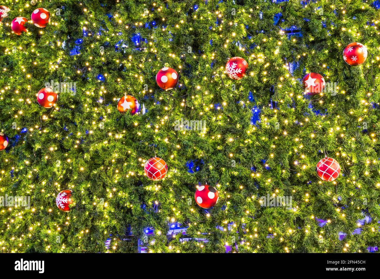 christmas lights hanging in a tree background Stock Photo - Alamy