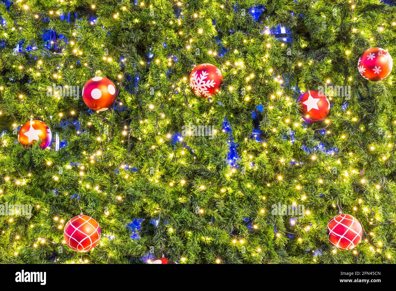 christmas lights hanging in a tree background Stock Photo - Alamy