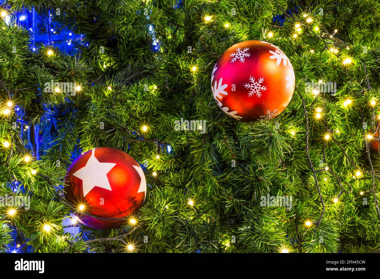 christmas lights hanging in a tree background Stock Photo - Alamy