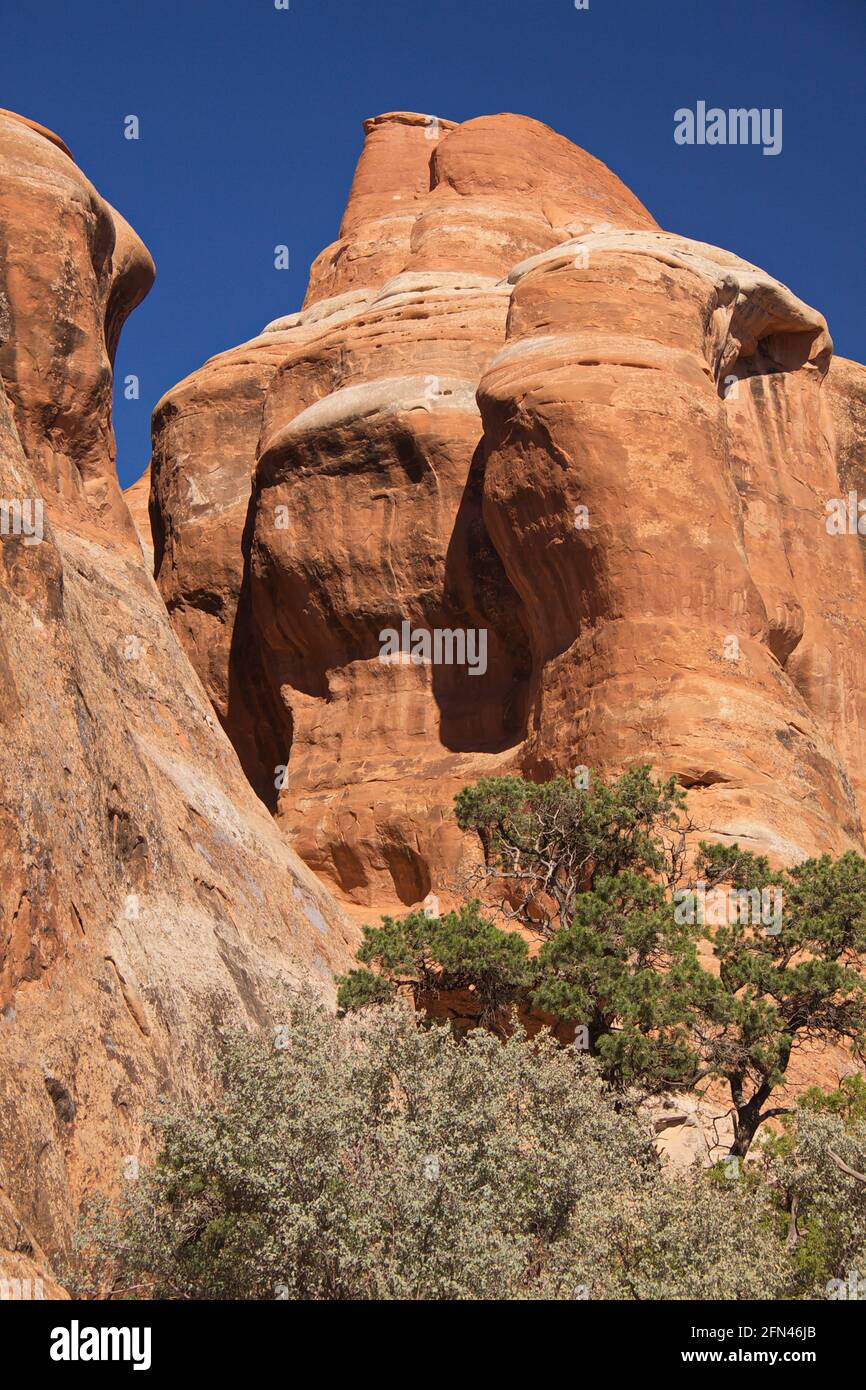 Rock formation in Arches National Park in Utah in the USA Stock Photo ...