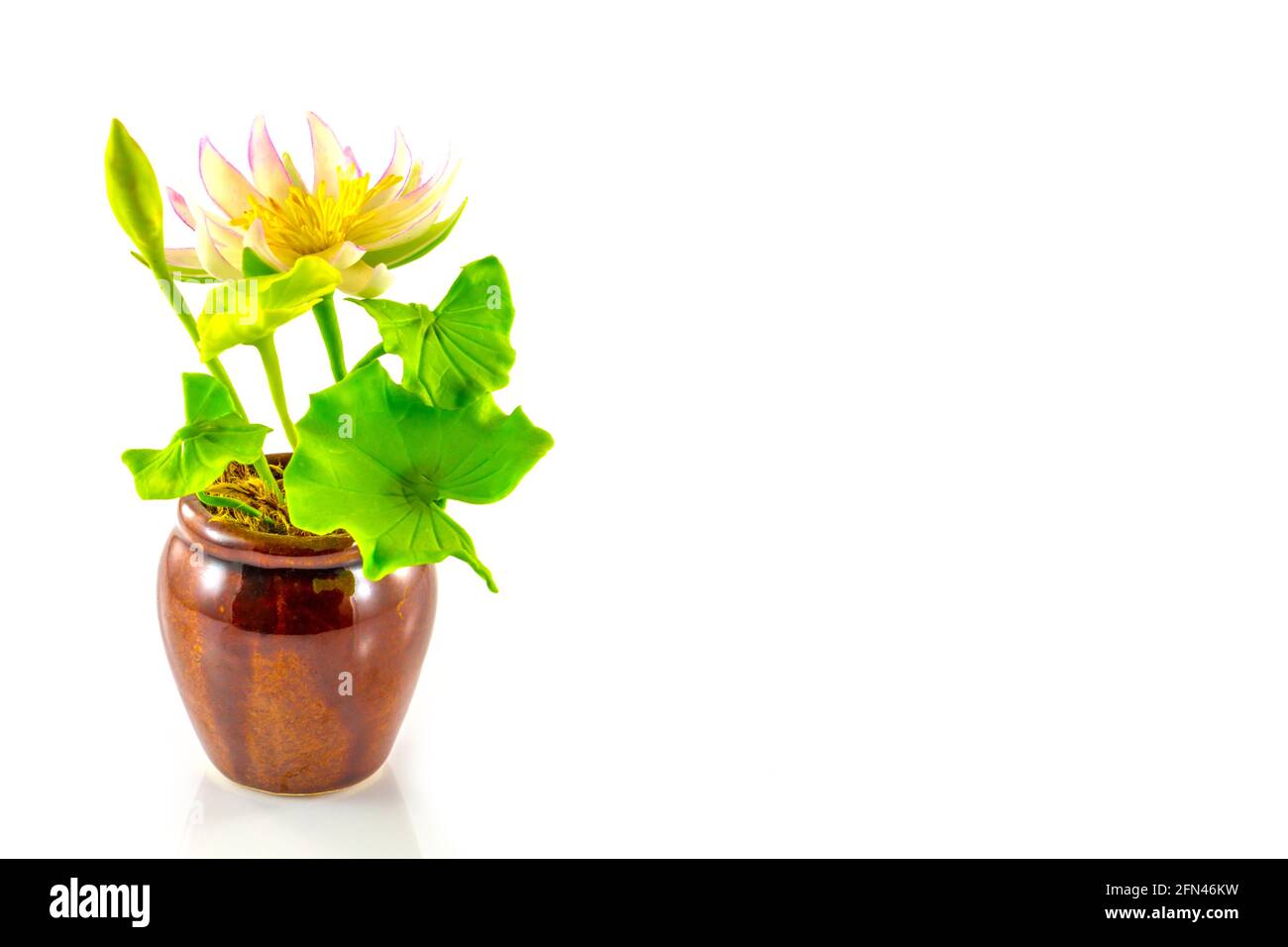 Lotus flower leaf home Cut Out Stock Images & Pictures - Alamy