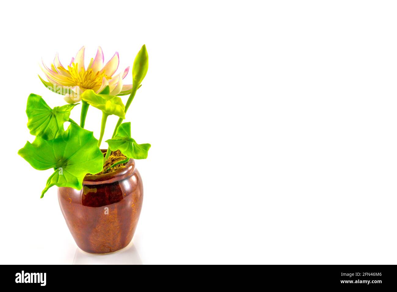 Lotus flower leaf home Cut Out Stock Images & Pictures - Alamy