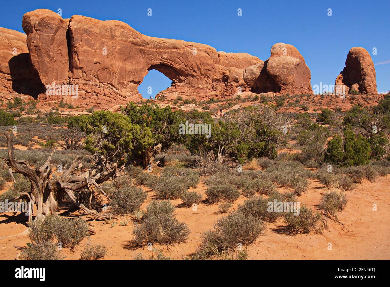 Windows Section of Arches National Park in Utah in the USA Stock Photo ...