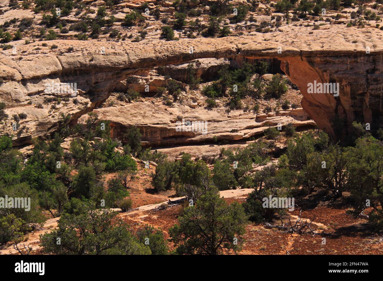 Owachomo Bridge in Natural Bridges National Monument in Utah in the USA ...