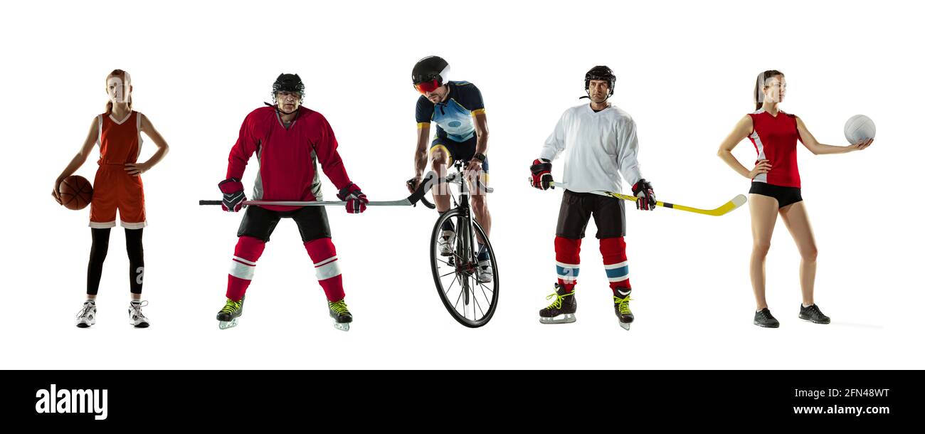 Collage of different professional sportsmen, fit people in action and ...