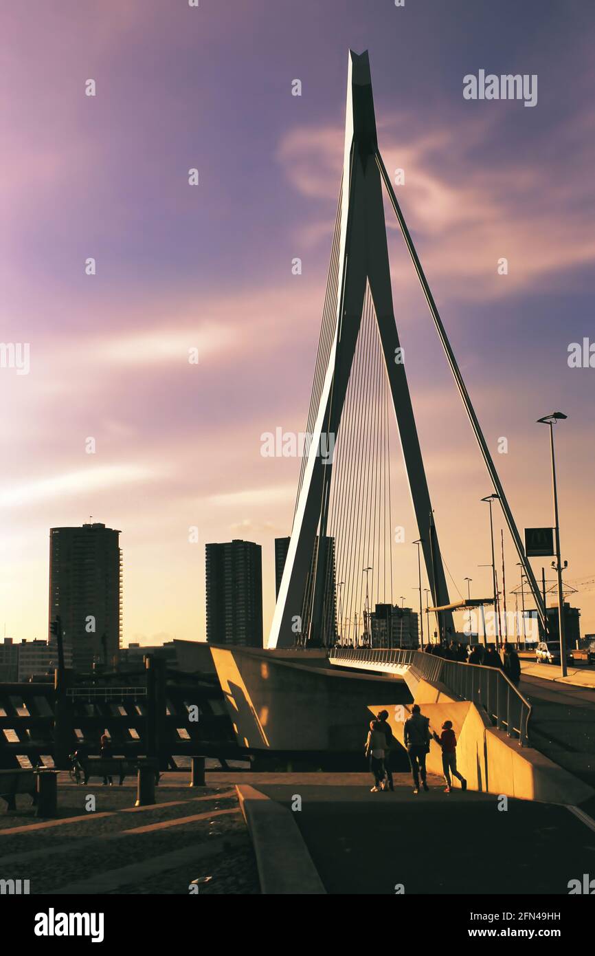 Erasmus Bridge. Combined cable-stayed and bascule bridge. White lines ...