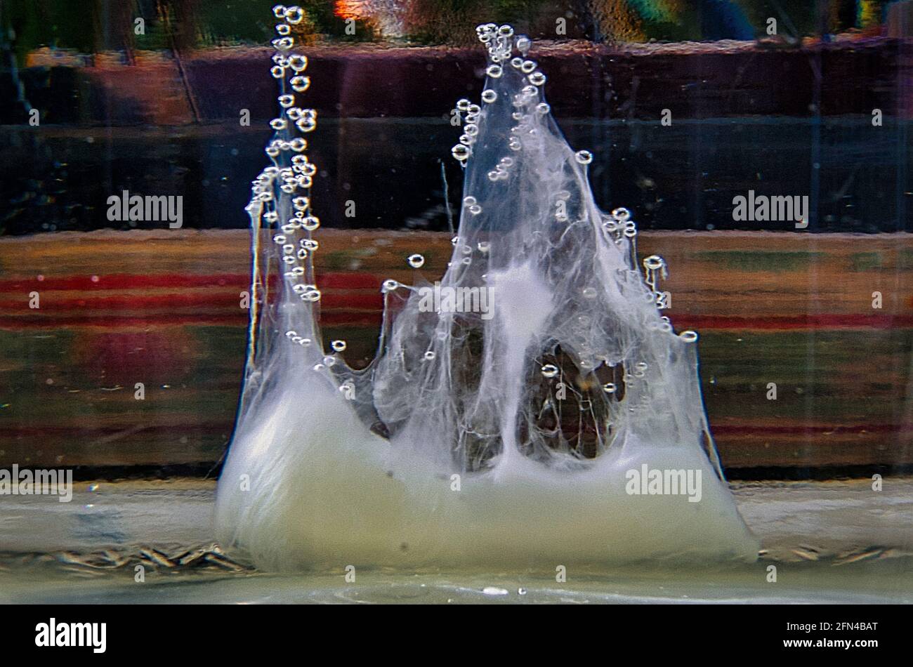 Egg in bottle experiment hi-res stock photography and images - Alamy