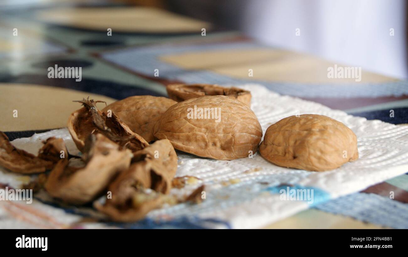 Broken walnut shells on a kitchen table. Eat nuts in the fall Stock ...