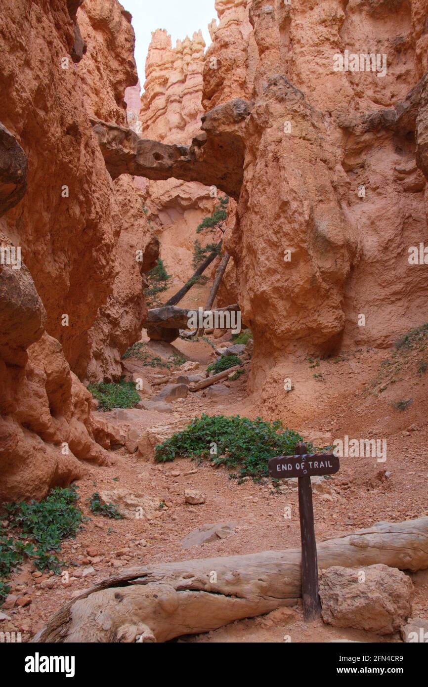 Two Bridges at Navajo Trail in Bryce Canyon in Utah in the USA Stock ...