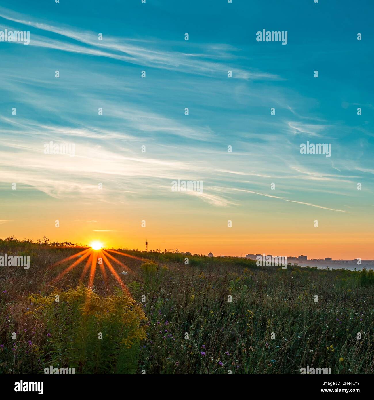 The first rays of the rising sun in a field on the outskirts of the ...