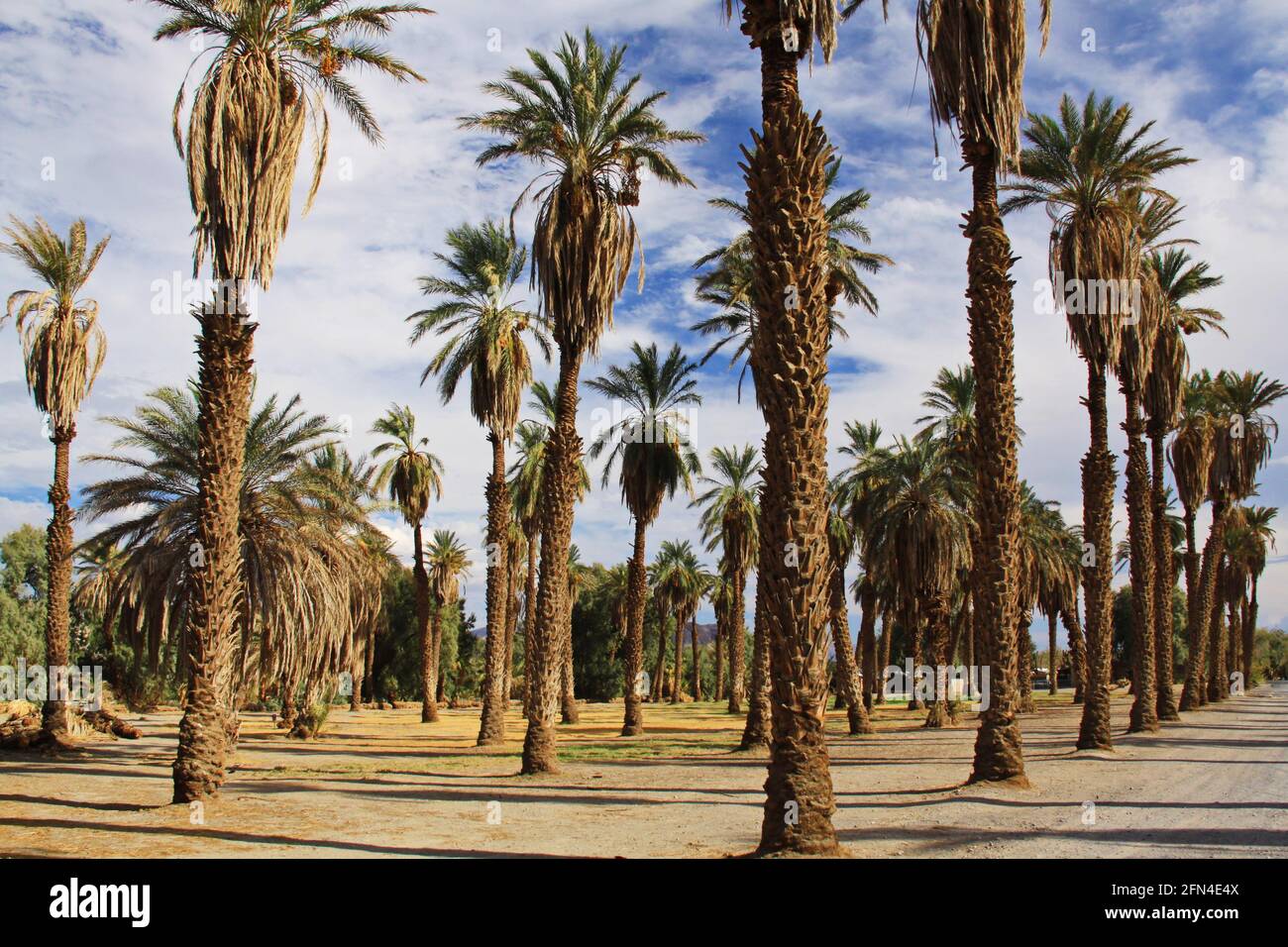 Furnace creek ranch hi-res stock photography and images - Alamy