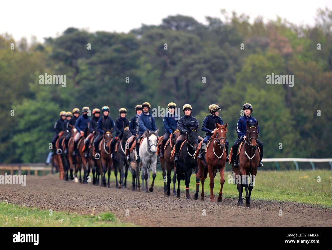 Horses on the gallops at Newmarket Racecourse. Picture date: Friday May ...