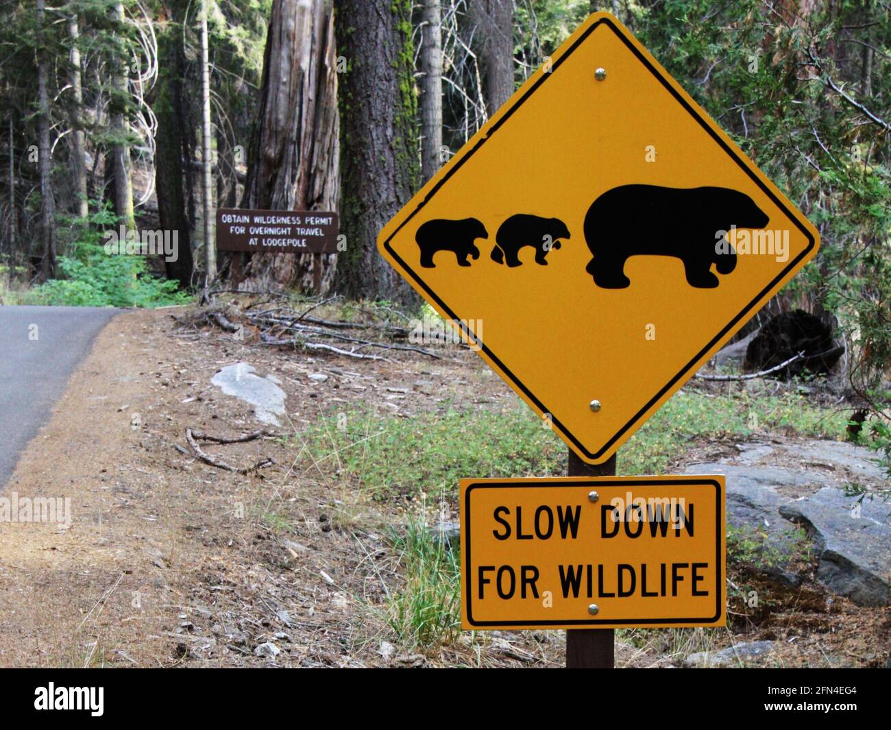 Slow down for wildlife hi-res stock photography and images - Alamy