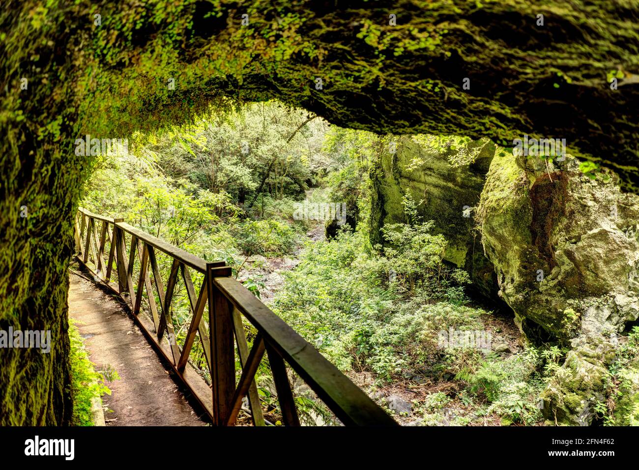 Los Tilos, La Palma, Canary Islands Stock Photo - Alamy