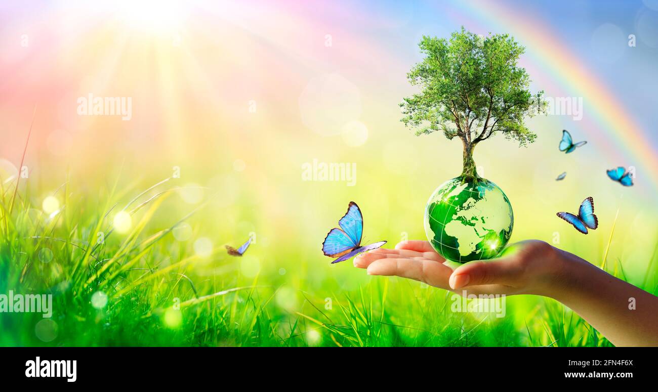 Tree On Planet - Environment Concept - Hand Holding Green Globe With ...