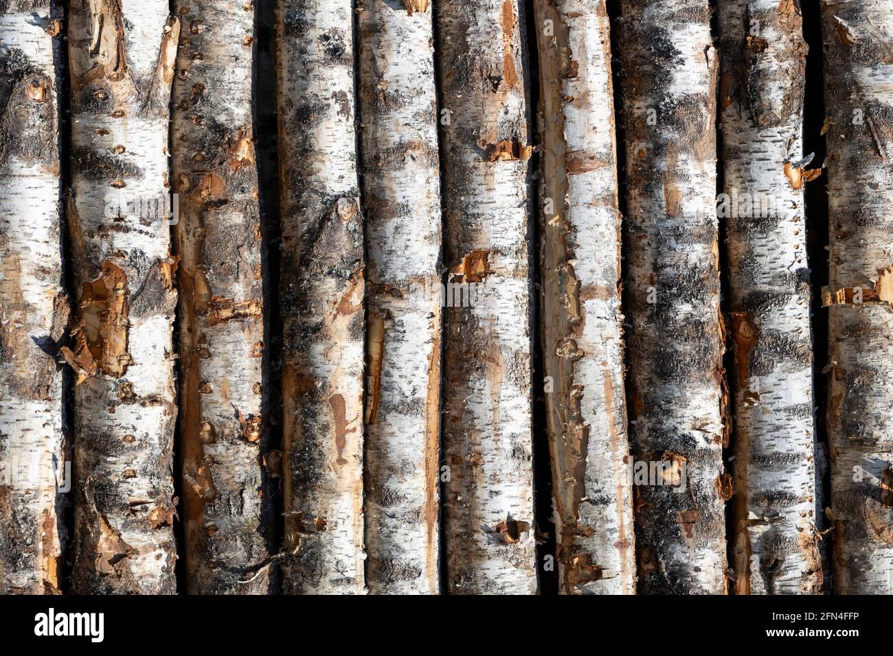 birch logs in rows. the trees are stacked with stacks. timber. High ...