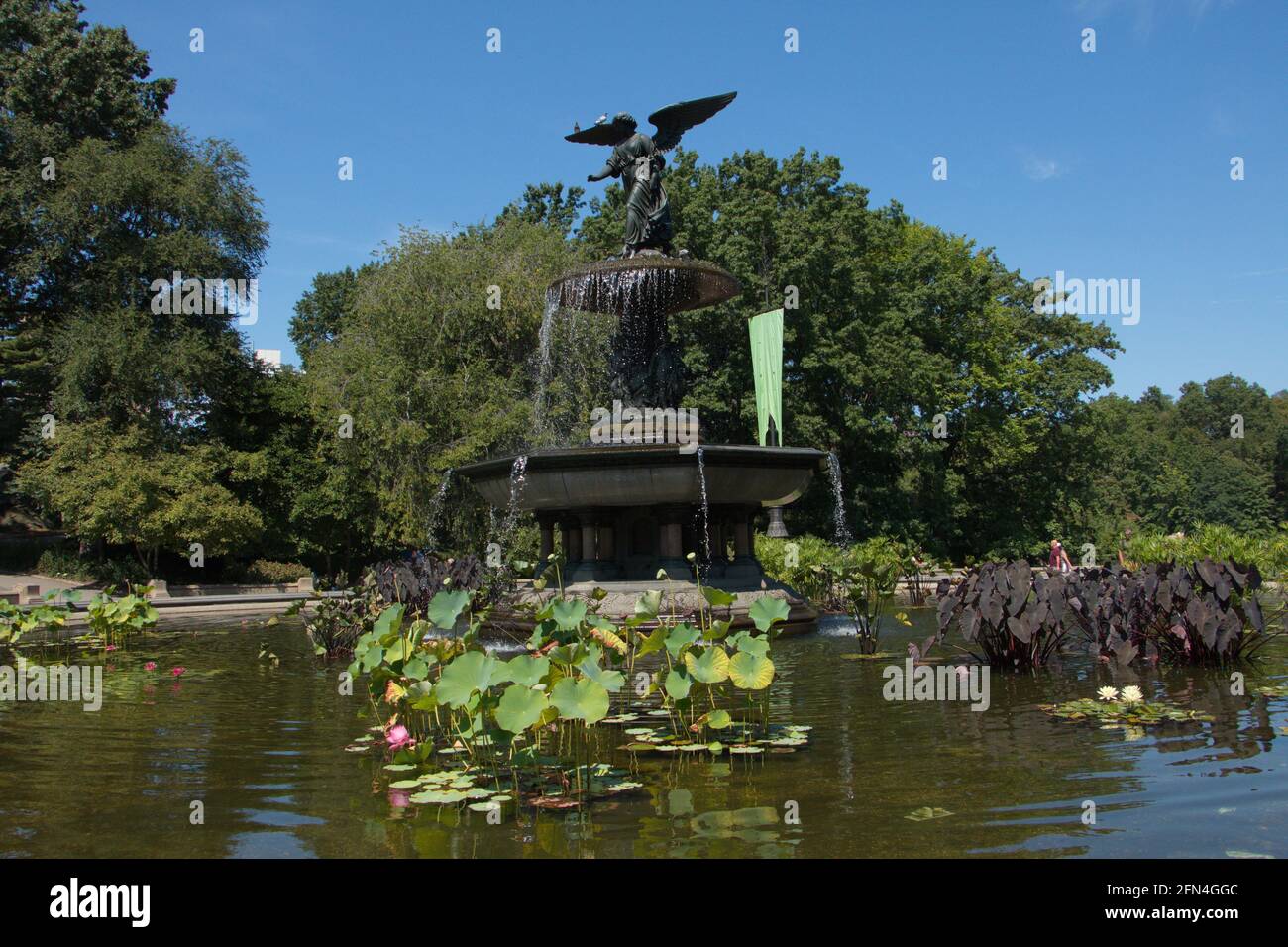 Conservatory Water in Central Park in New York Stock Photo - Alamy