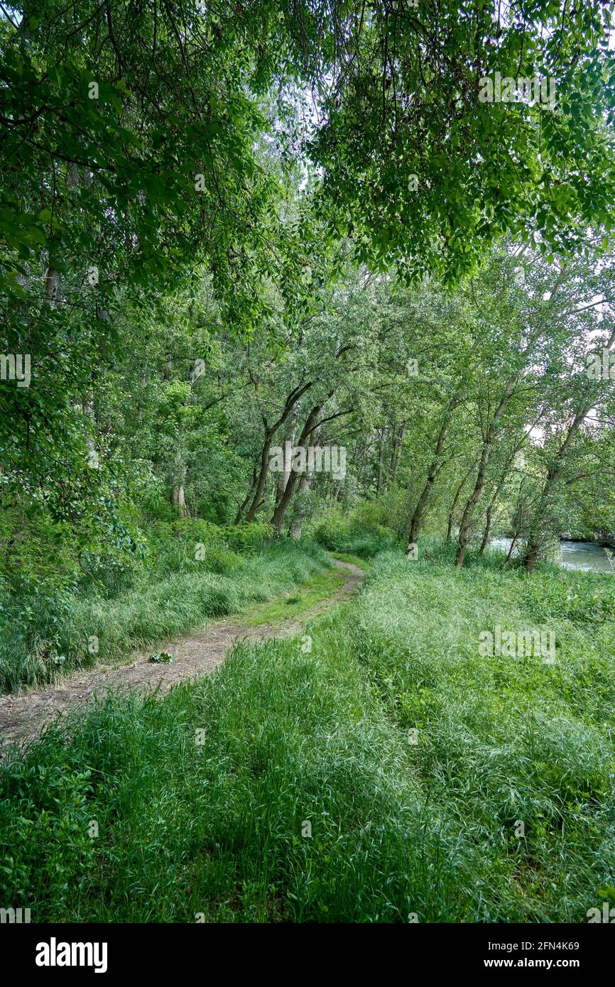 Cycle becycle hi-res stock photography and images - Alamy