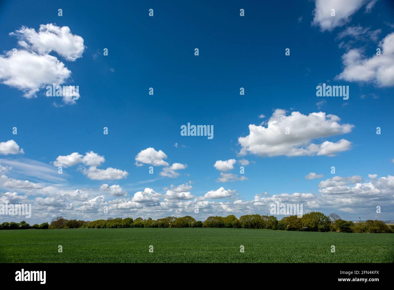 Cooling, May 11th 2021: Open countryside at Cooling on the Hoo ...
